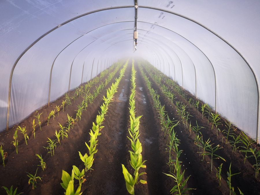 Bio Pusztahof Michlits