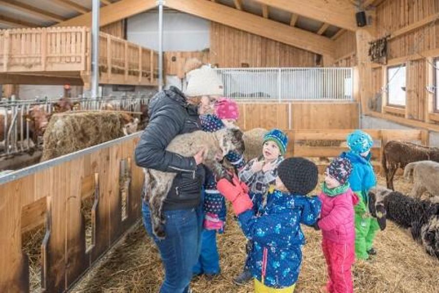 Biobauernhof Salchegg – Farm4Smile